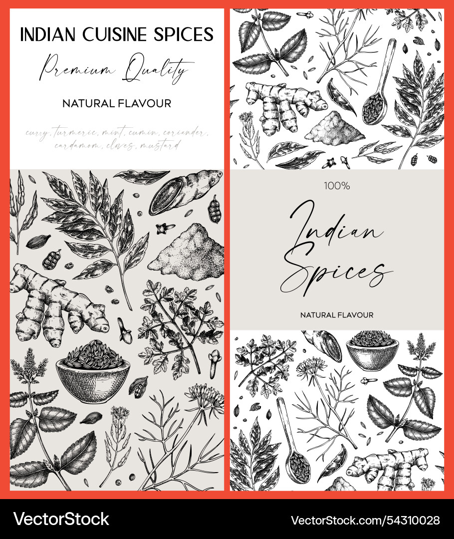 Indian spice label designs curry cumin mustard Vector Image