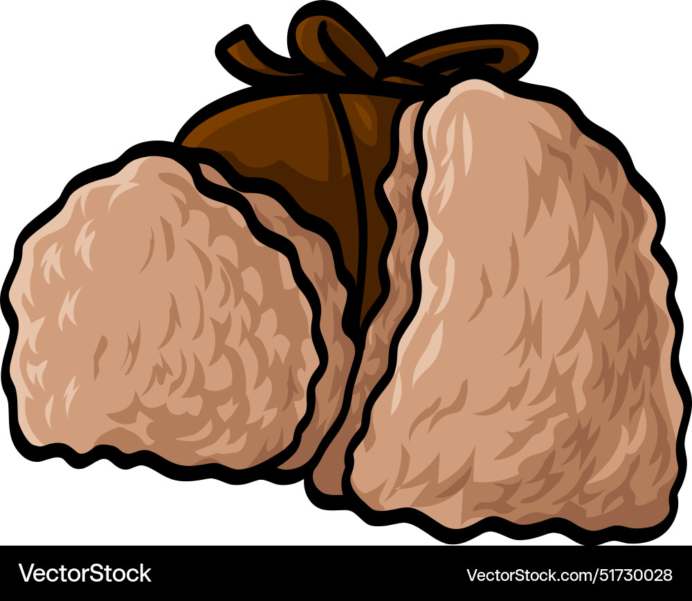 Ushanka russian hat warm fur winter cap drawing Vector Image