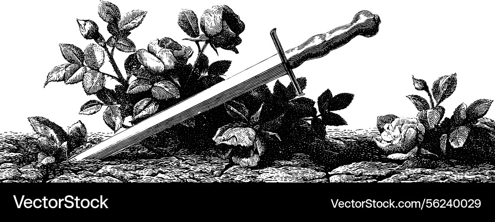 Sword amongst roses engraving - intricate Vector Image