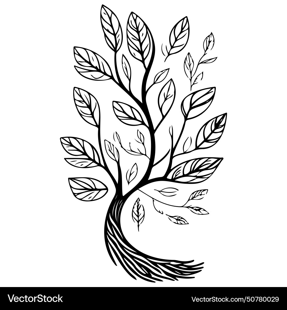 Tree half spring autumn floral sketch draw Vector Image