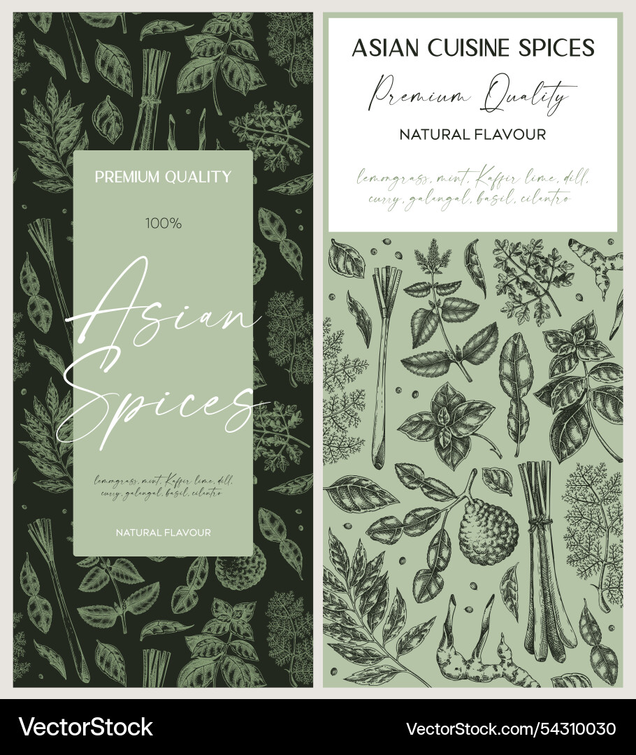 Asian spice label design basil curry calangal Vector Image