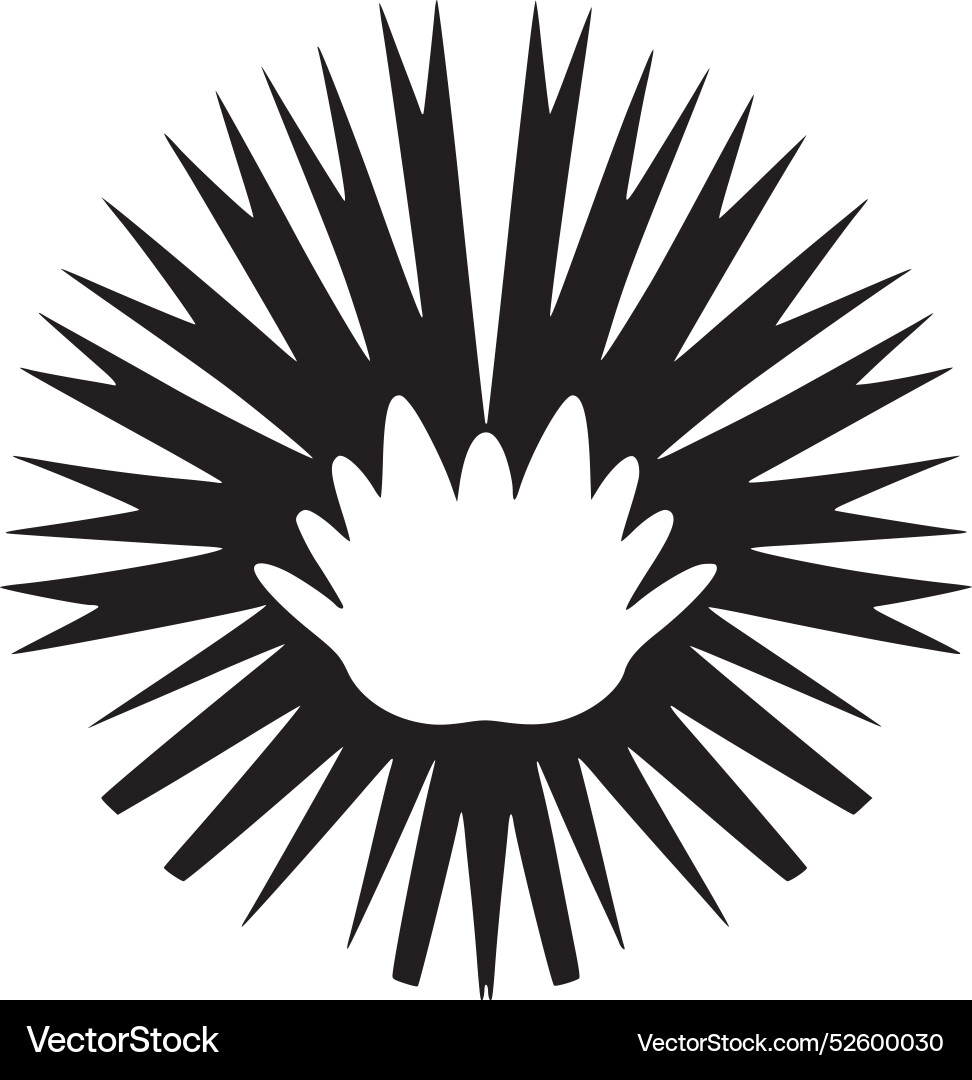 Explosion - black and white Royalty Free Vector Image