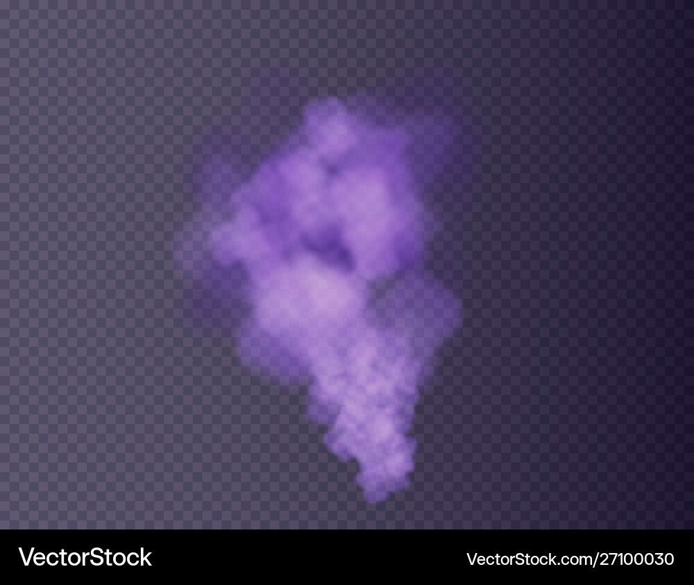 Purple fog or smoke colored explosion powder Vector Image