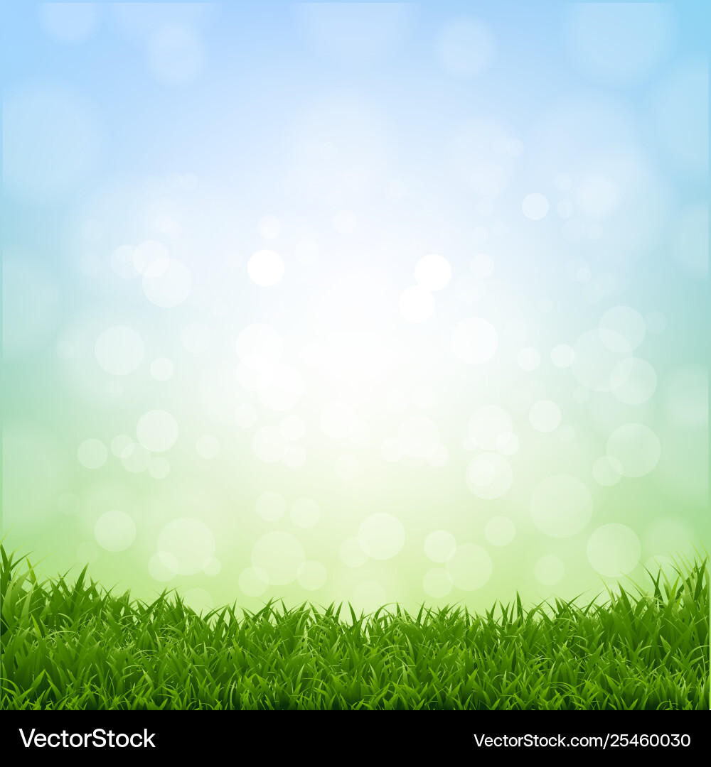 Spring grass border Royalty Free Vector Image - VectorStock