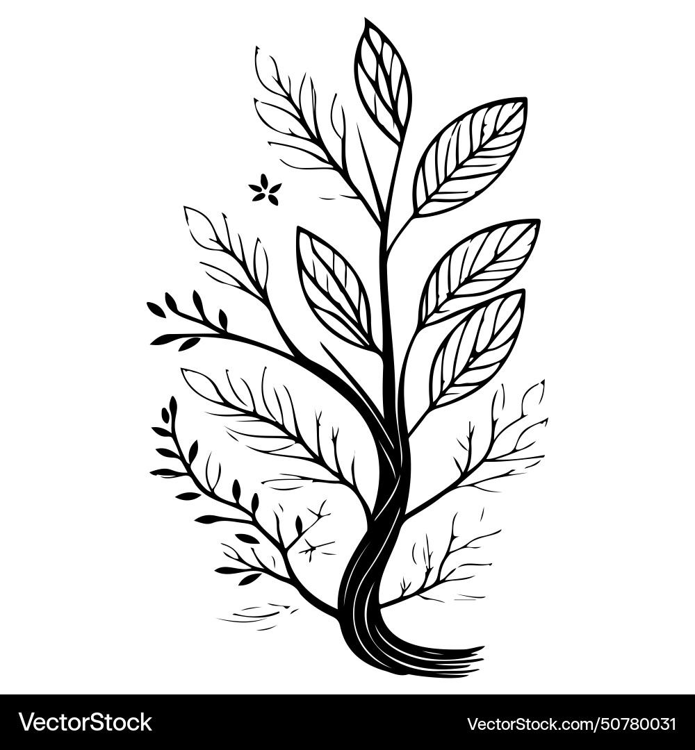 Tree half spring autumn floral sketch draw Vector Image