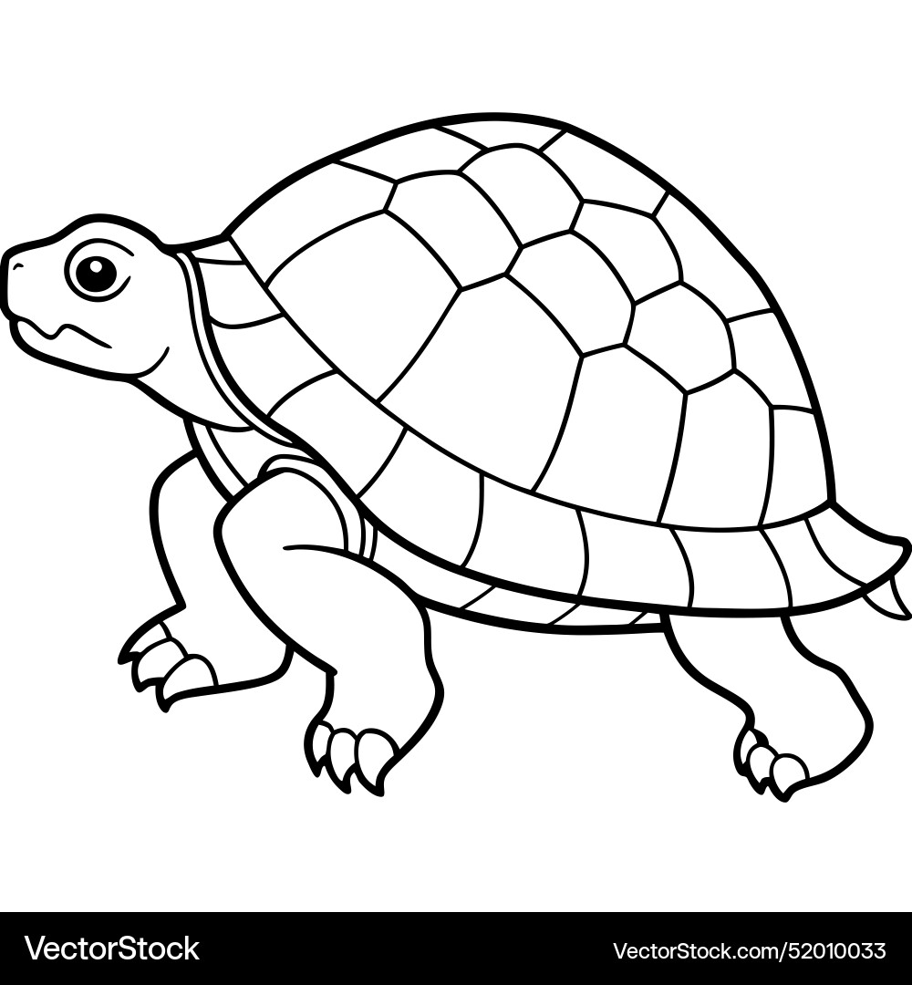 Eastern box turtle walks icon Royalty Free Vector Image