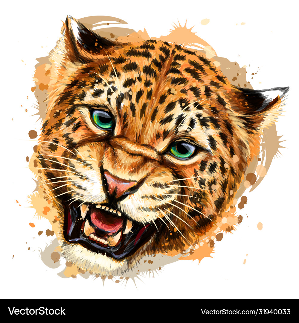 Leopard Roar Drawing Roaring Leopard Outline Embroidery Design