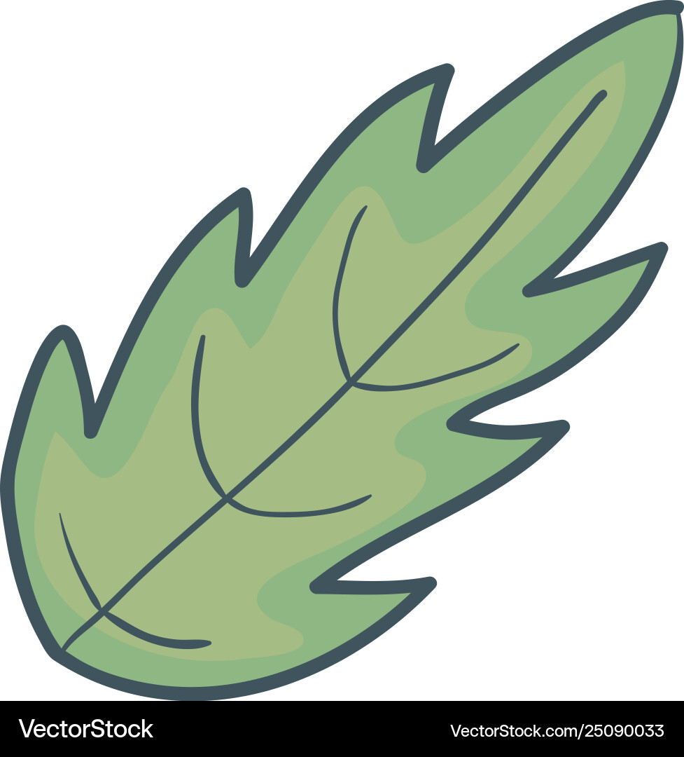 Nature leaf cartoon Royalty Free Vector Image - VectorStock