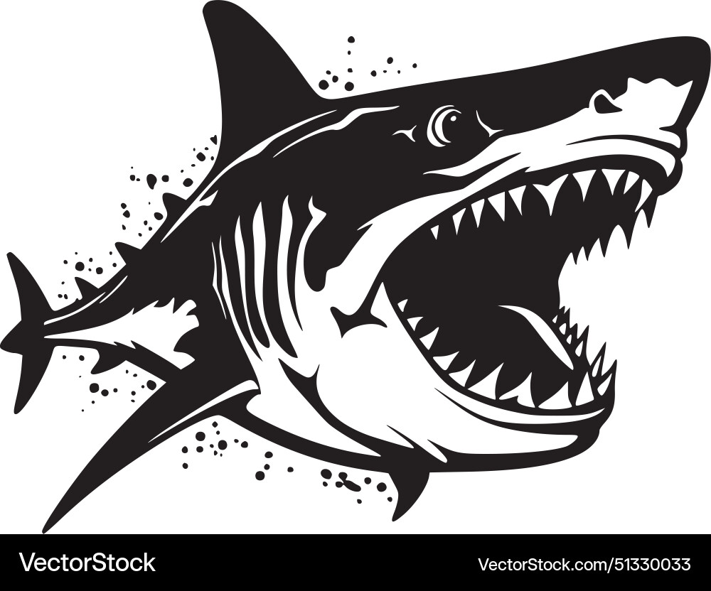 Shark - black and white Royalty Free Vector Image