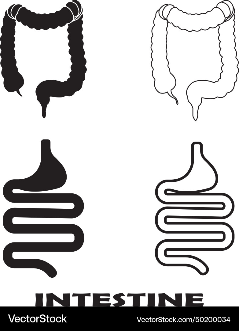 Intestines icon Royalty Free Vector Image - VectorStock