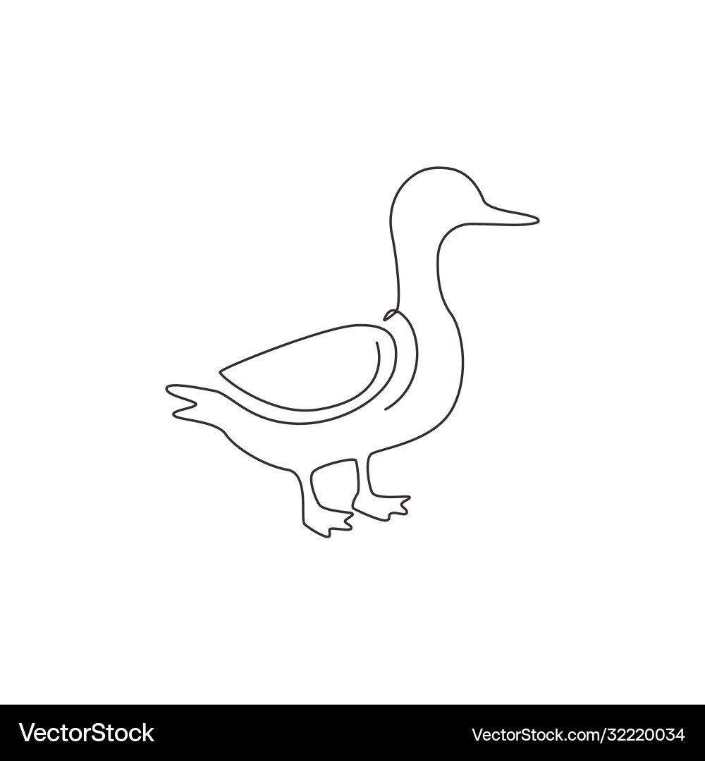 One continuous line drawing funny white duck Vector Image