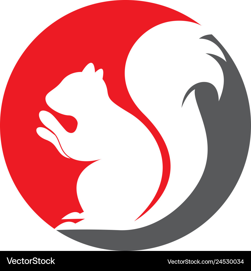 Squirrel icon Royalty Free Vector Image - VectorStock