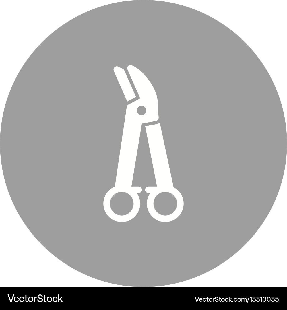Hemostat Royalty Free Vector Image - VectorStock
