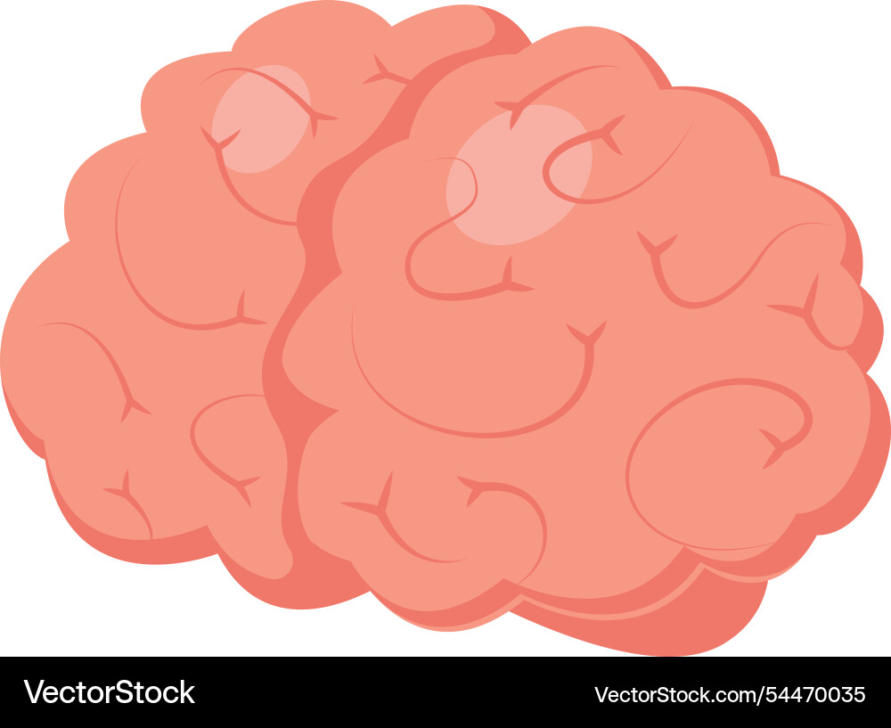 Pink human brain symbolizing intelligence Vector Image