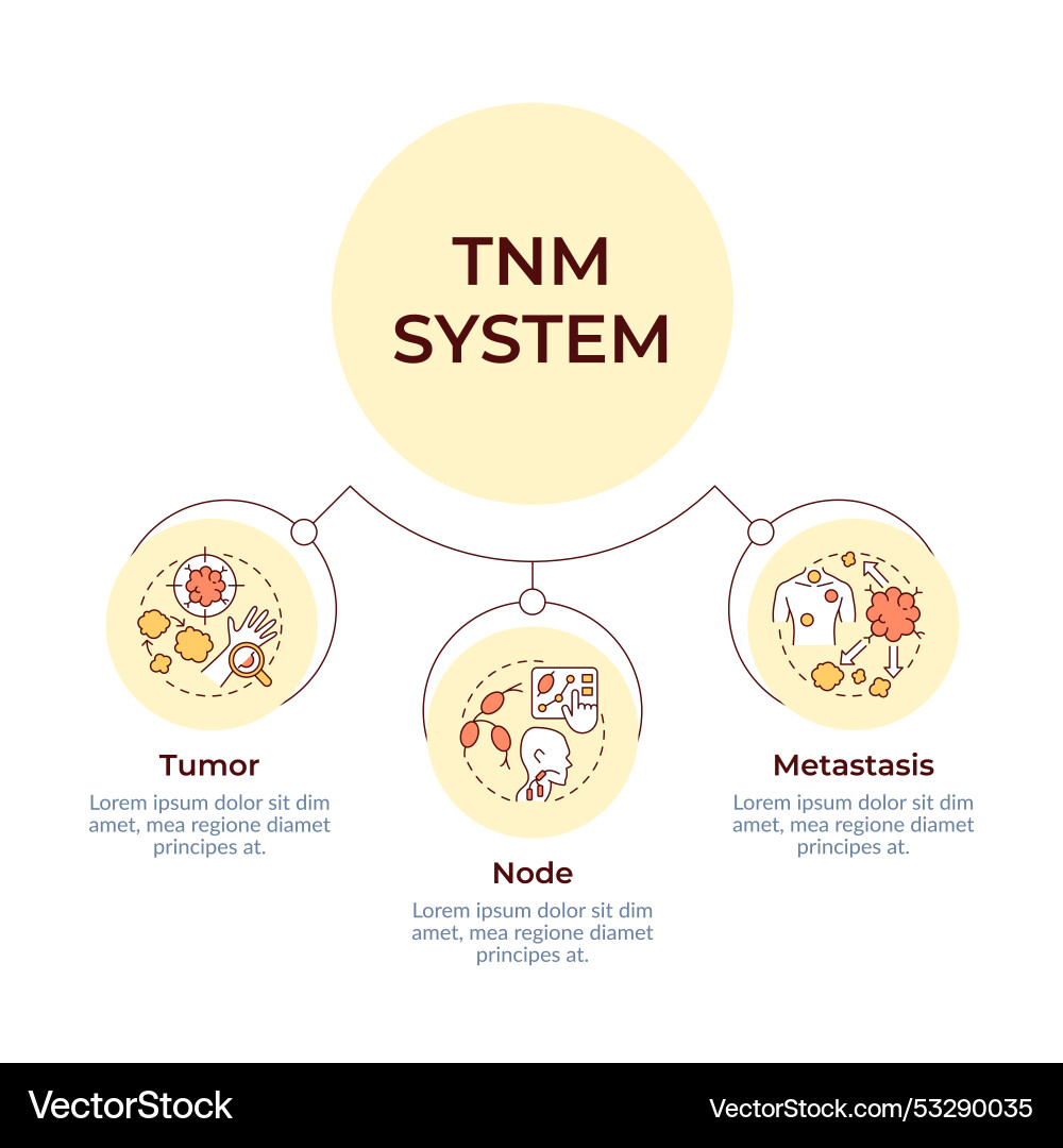Tnm system circular diagram infographic Royalty Free Vector