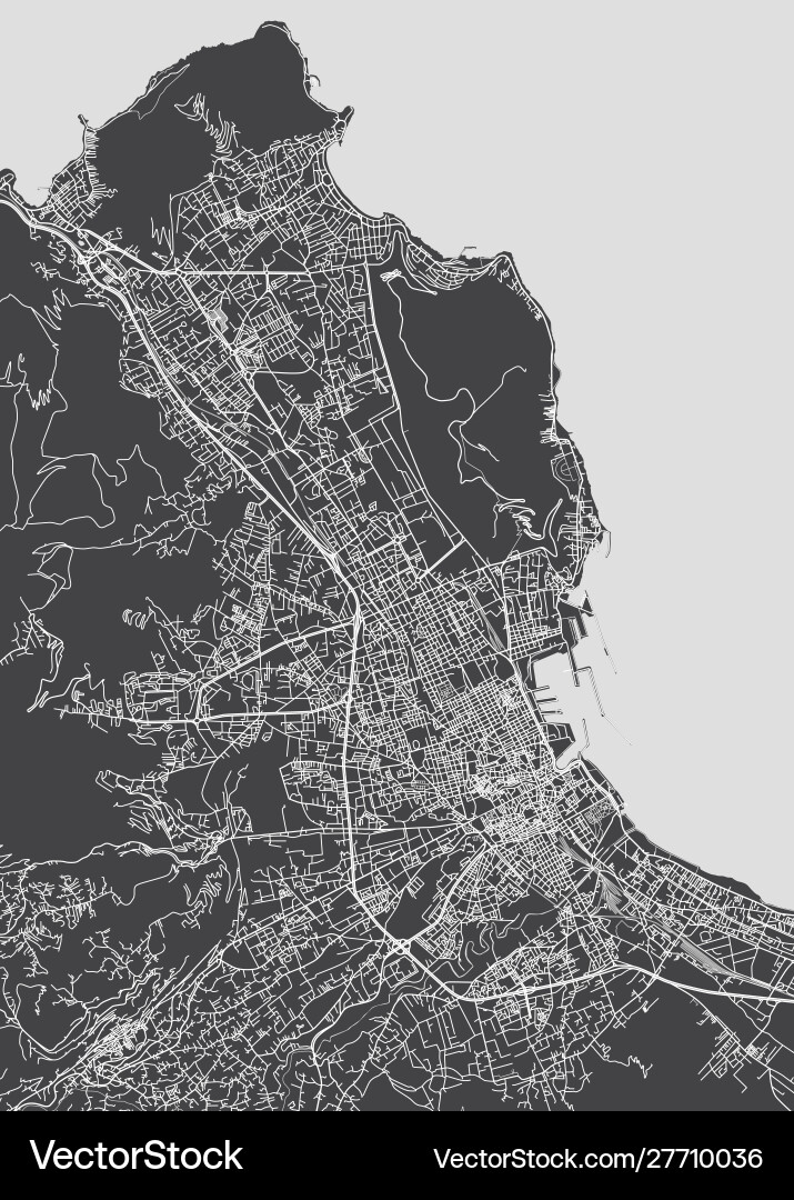 City map palermo monochrome detailed plan Vector Image