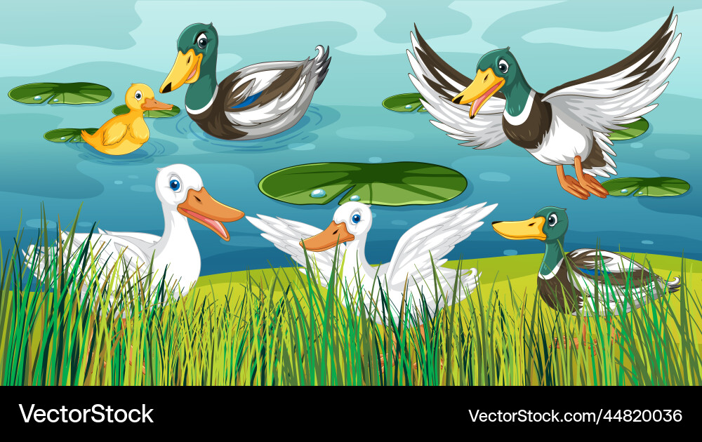 Outdoor scene with cartoon ducks Royalty Free Vector Image