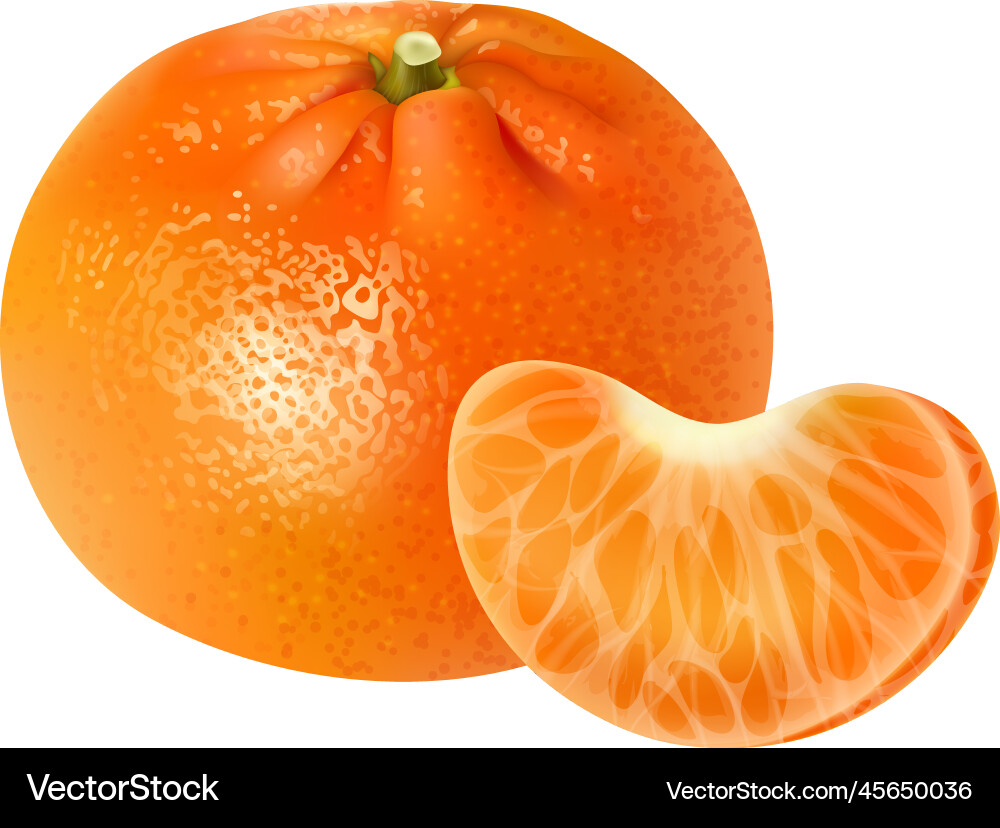 Realistic tangerine fruit composition Royalty Free Vector