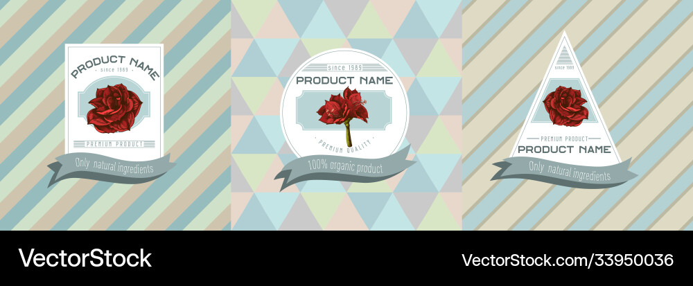 Three colored labels Royalty Free Vector Image