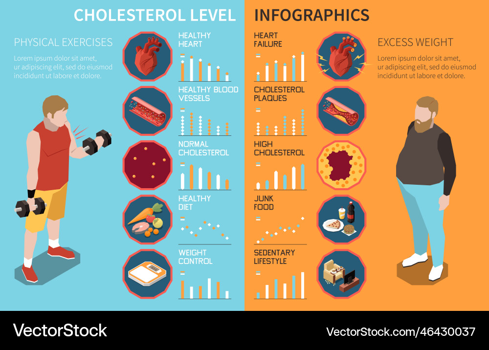 Cholesterol level infographics Royalty Free Vector Image