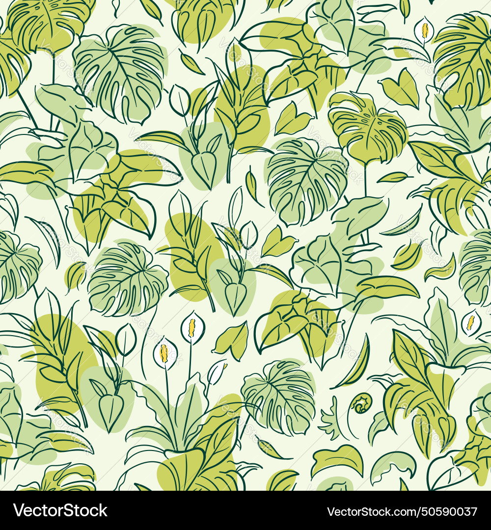 Ficus syngonium monstera spathiphyllum Royalty Free Vector