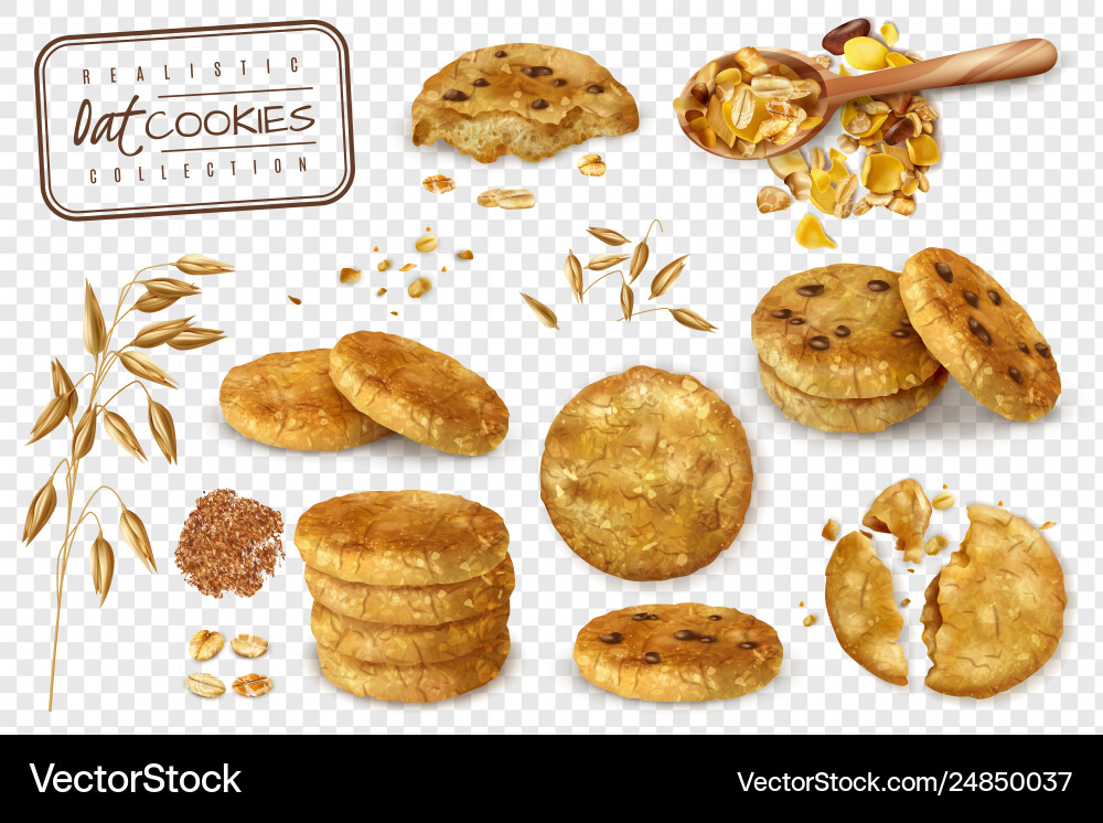 Oat cookies transparent set Royalty Free Vector Image