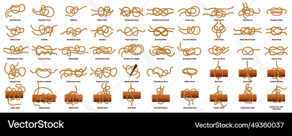 Sailing ship rope knots nautical sailor tie bows Vector Image
