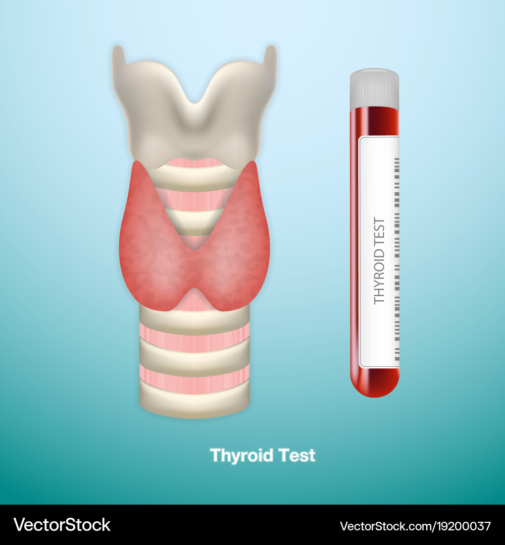 Test tube with blood for thyroid and healthy Vector Image