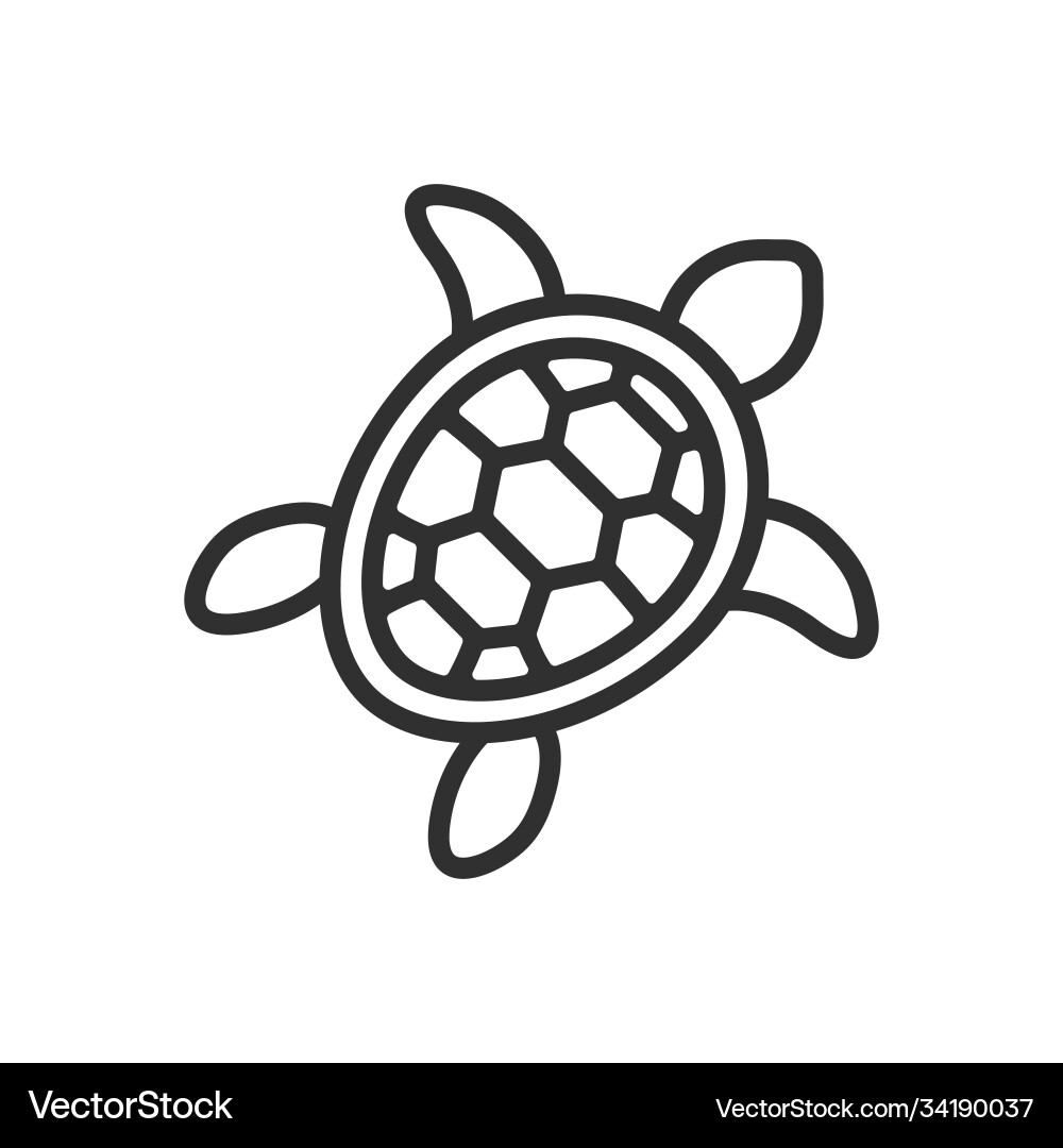 Turtle line icon images Royalty Free Vector Image