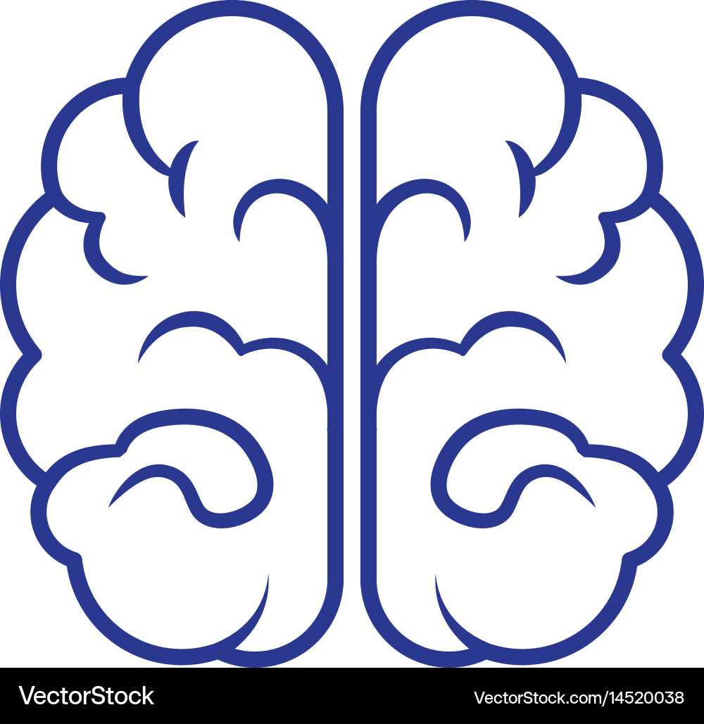 Human brain intelligence Royalty Free Vector Image