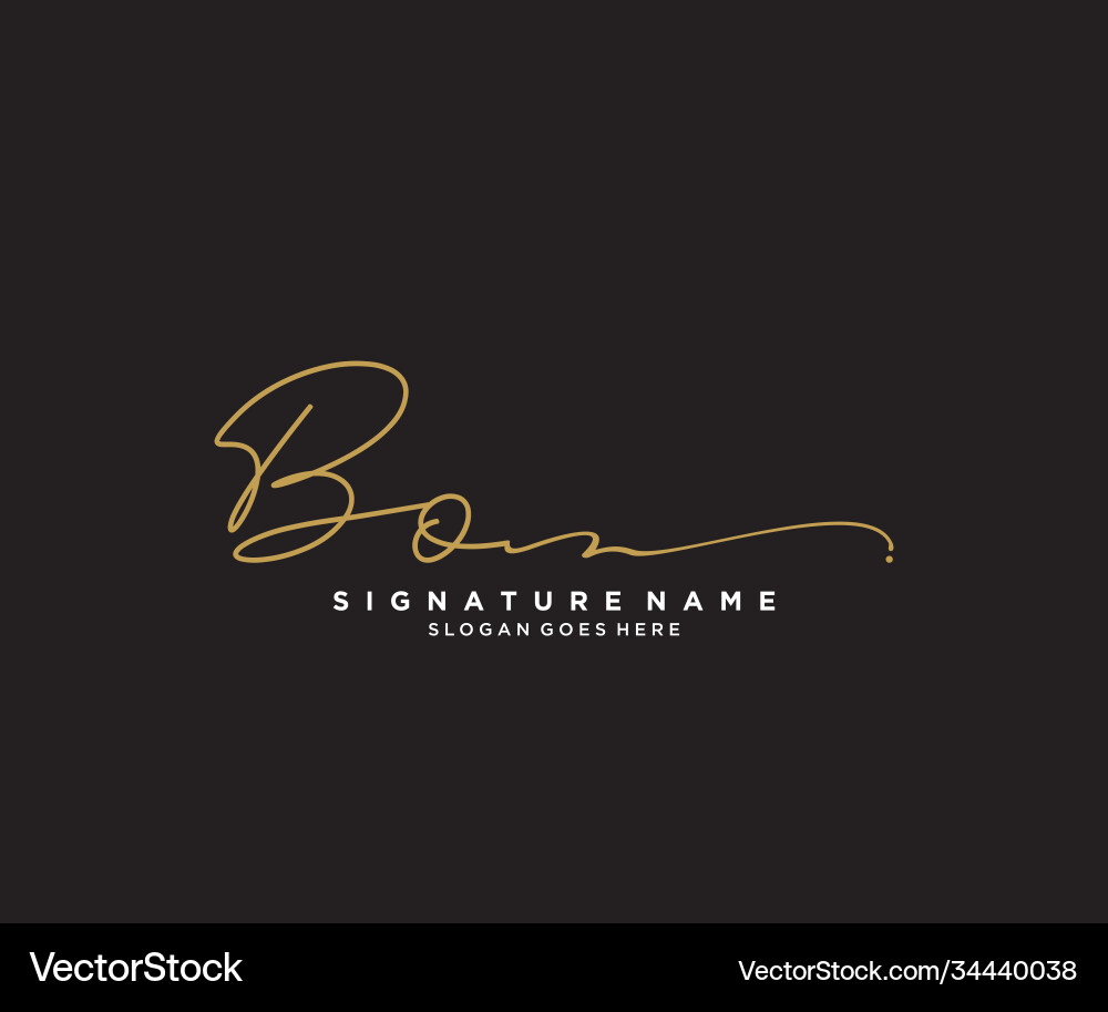 Letter bo signature logo template Royalty Free Vector Image