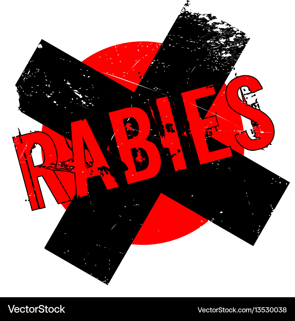 Rabies rubber stamp Royalty Free Vector Image - VectorStock