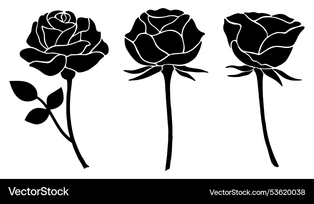 Rose flower silhouette spring symbols image Vector Image