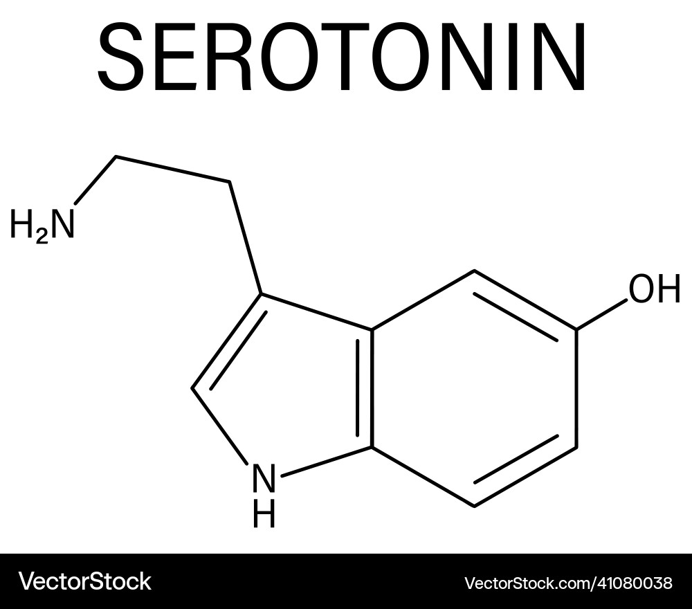 Serotonin molecule skeletal formula Royalty Free Vector