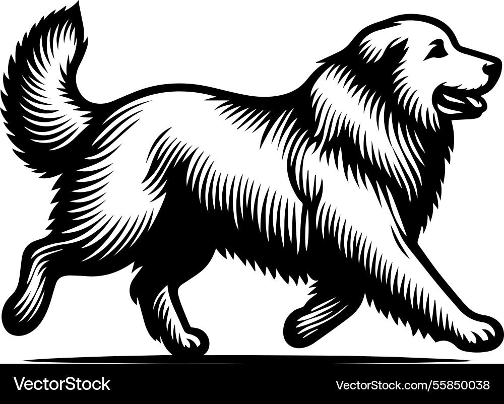 Simple great pyrenees running icon vintage logo Vector Image