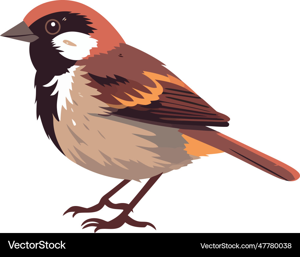 Small sparrow bird brown feathers nature Vector Image