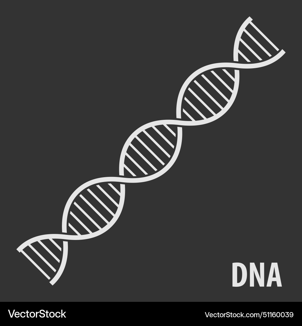 Dna helix icon human genetic symbol Royalty Free Vector