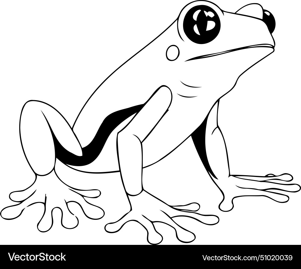Frog isolated on white background cartoon style Vector Image