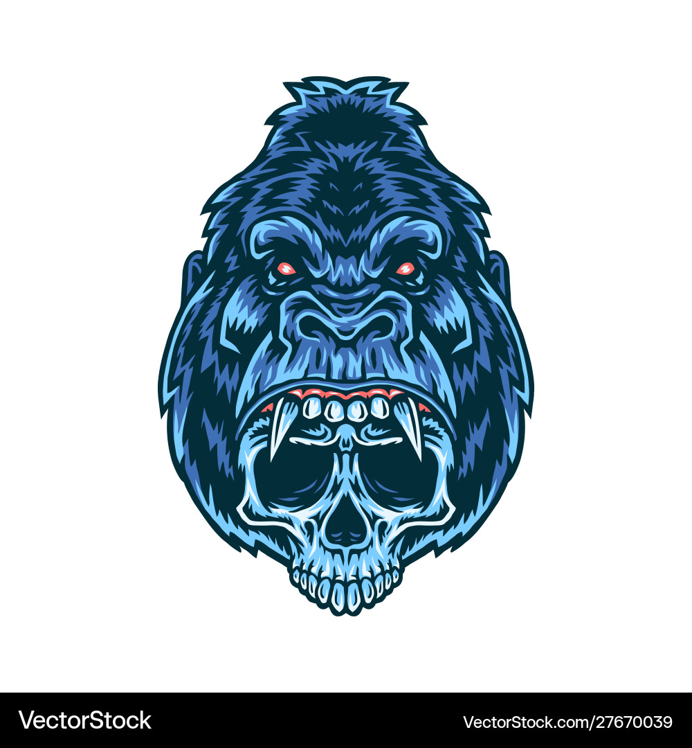 Gorilla skull Royalty Free Vector Image - VectorStock
