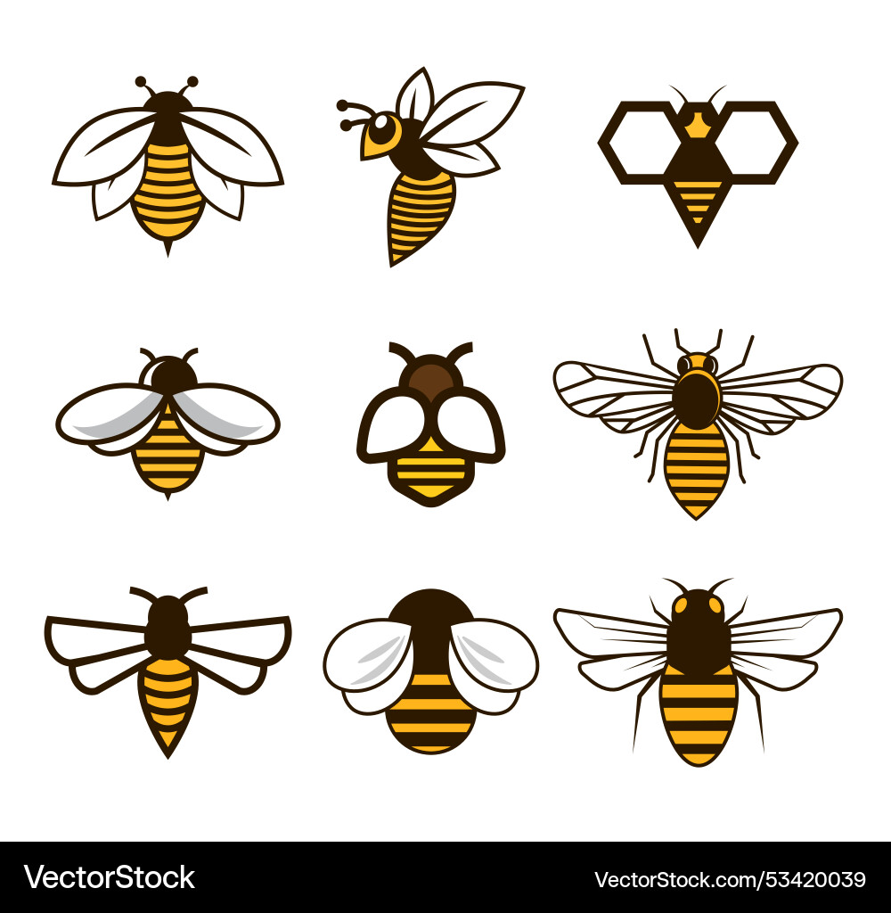 Honey bee element graphic Royalty Free Vector Image