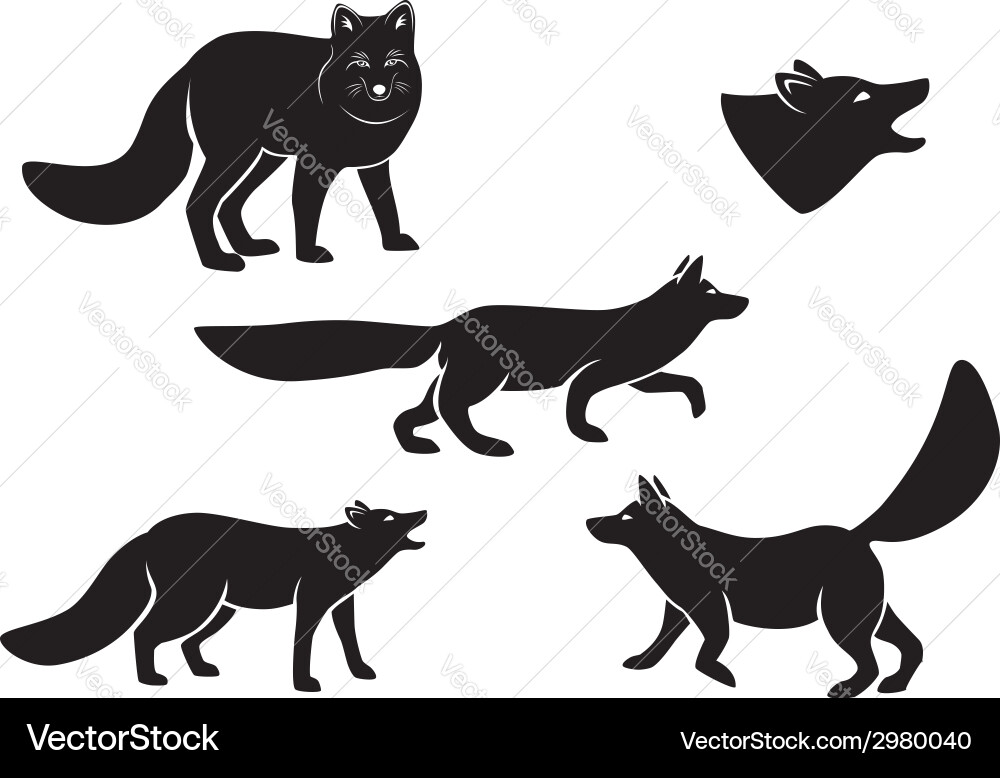 Fox Royalty Free Vector Image - VectorStock