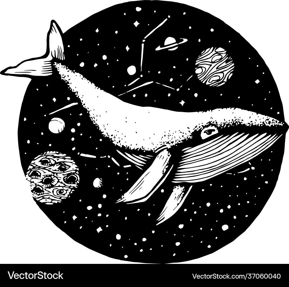 Hand-drawn doodle whale flies in space Royalty Free Vector