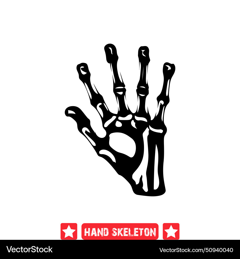Phantom phalanges delicate hand skeleton Vector Image