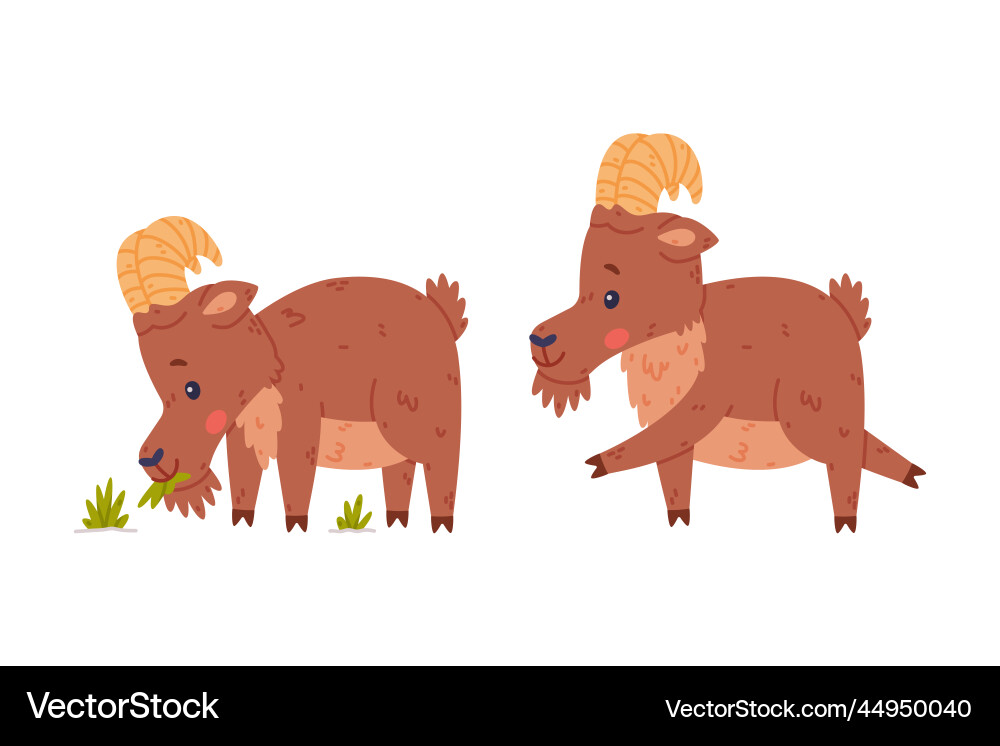 Urial character as wild mountain sheep with horns Vector Image