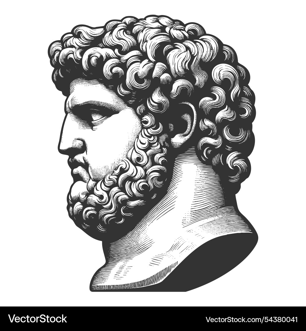 Male bust in profile engraving Royalty Free Vector Image