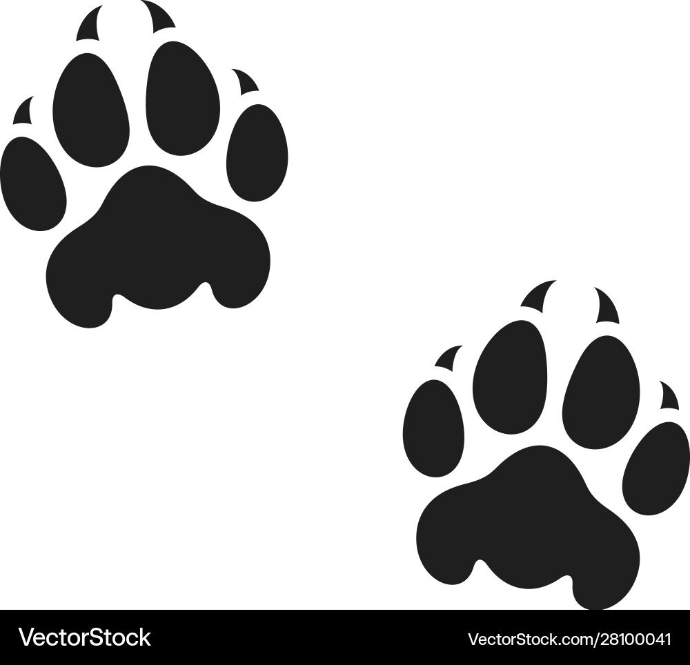 Panther Paw Vector Panther Svg, Panthers Svg, Paw Svg, Panther, P,