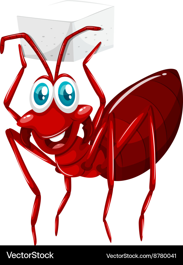 Red ant holding cube of sugar Royalty Free Vector Image