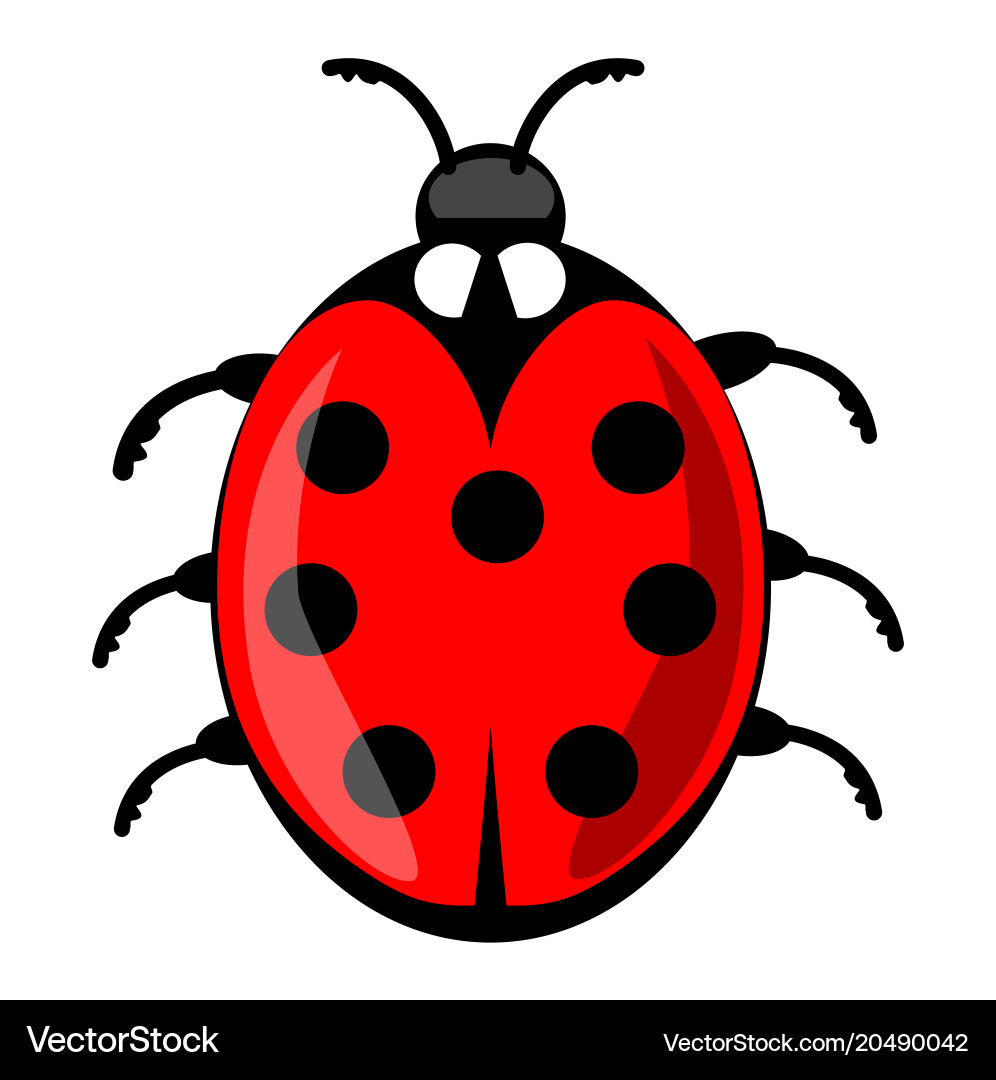 Cute ladybug cartoon isolated on white background Vector Image