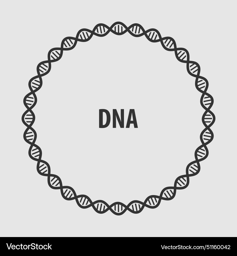 Dna abstract round frame human genetic symbol Vector Image