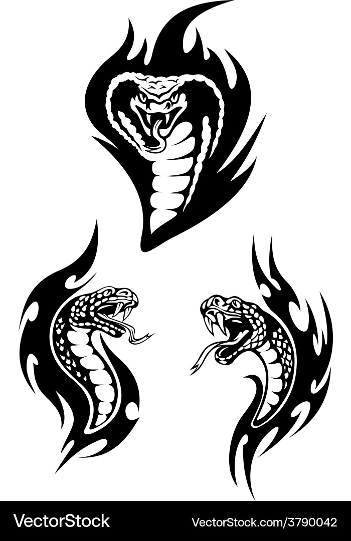 Snakes Hiss Vector Images (over 430)